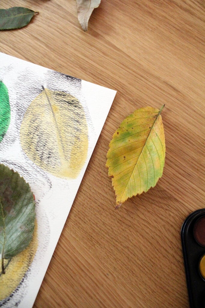 Leaf Rubbing Crayon Resist Art Activity - Messy Momma Crafts
