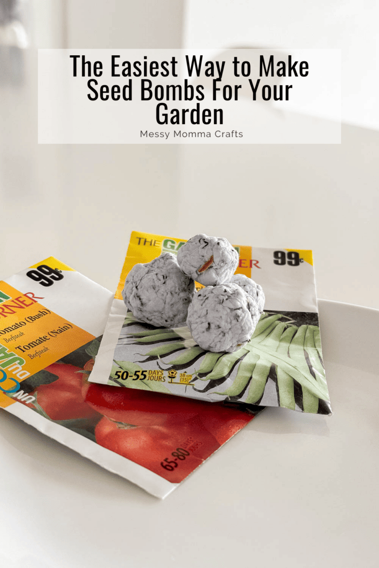 DIY Seed Bombs - Messy Momma Crafts