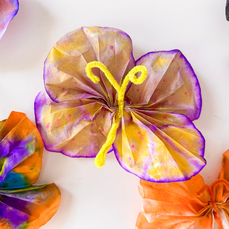 Coffee Filter Butterflies - Messy Momma Crafts